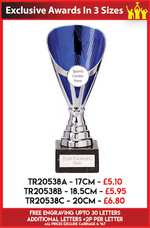 Team Strides - Gymnastic Trophies